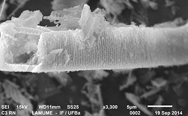 Diatomil - Diatomita de Qualidade, 100% Nacional | Desde 2008